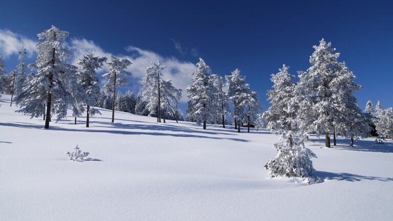 Divčibare – mapa i gde se nalazi